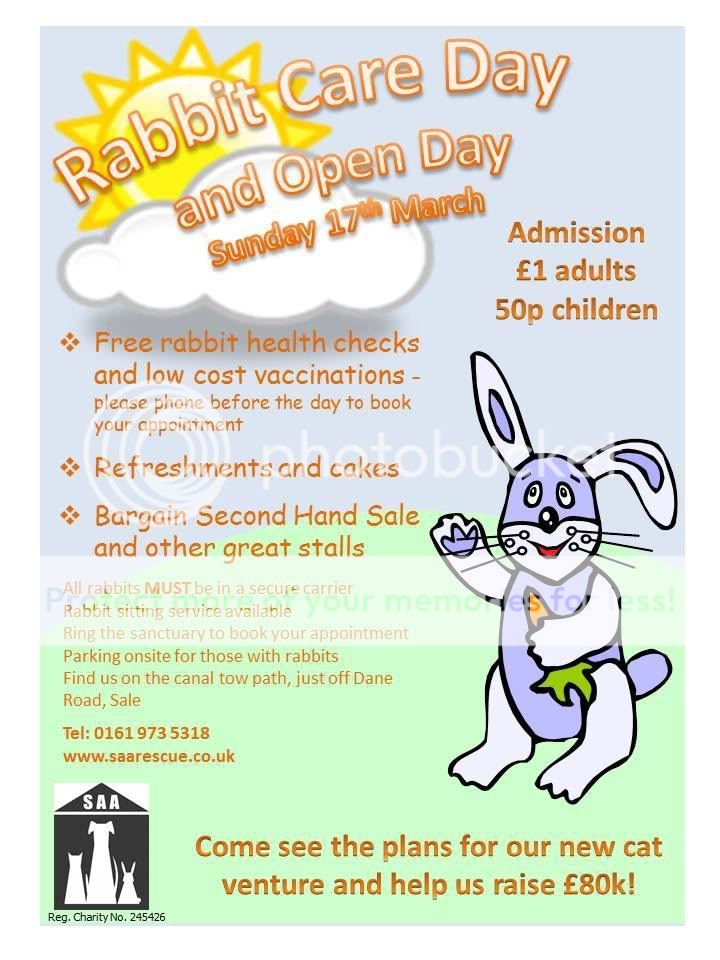 RABBIT CARE DAY, 17th March, Manchester | Rabbits United