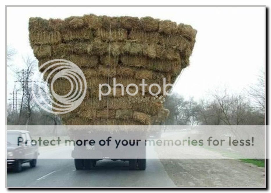 hay carting ACCO style - Historic Commercial Vehicle Club of Australia