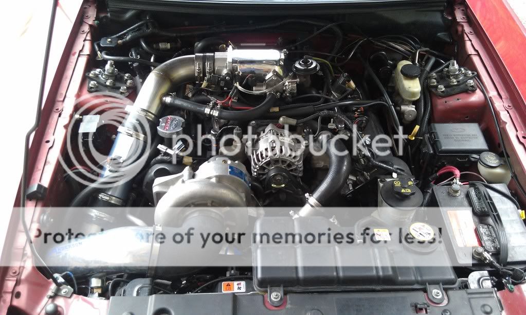 Custom air intake for procharger... | Modded Mustang Forums