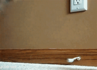 We love cats | Vaping Underground Forums - An Ecig and Vaping Forum