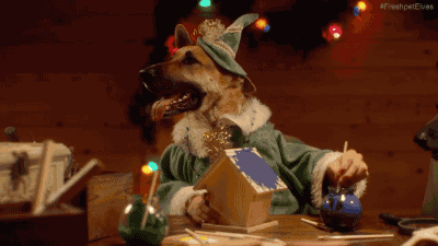 We love DOGS too... | Page 5 | Vaping Underground Forums - An Ecig and ...