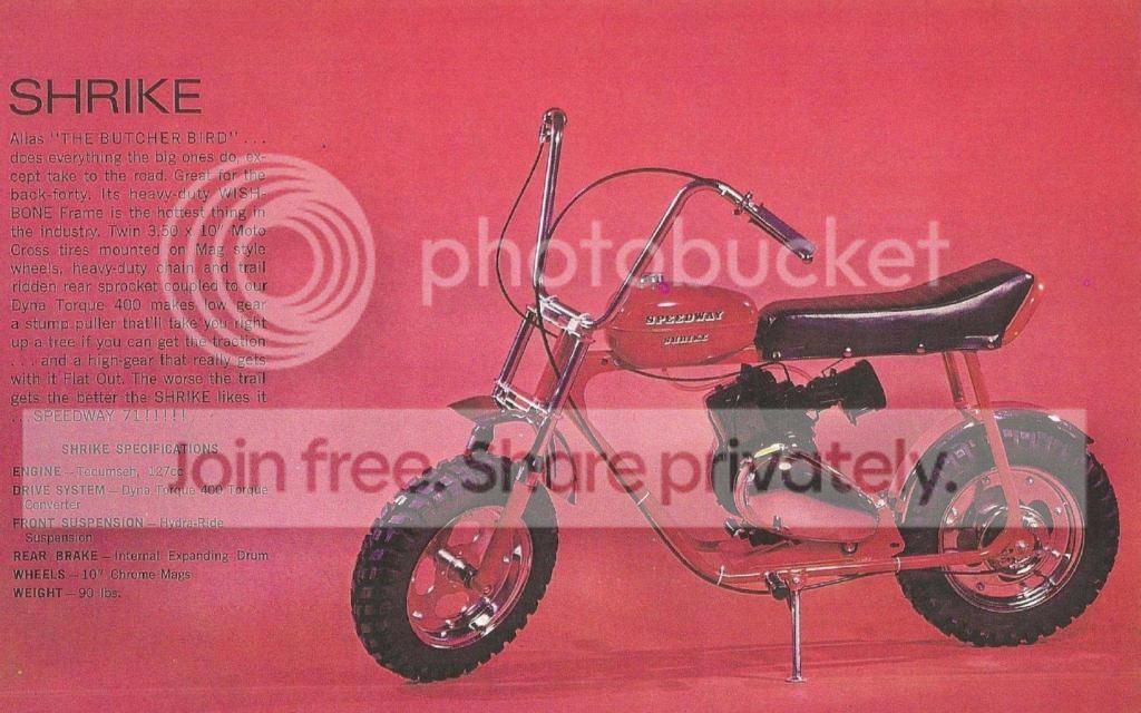Speedway Shrike | OldMiniBikes.com